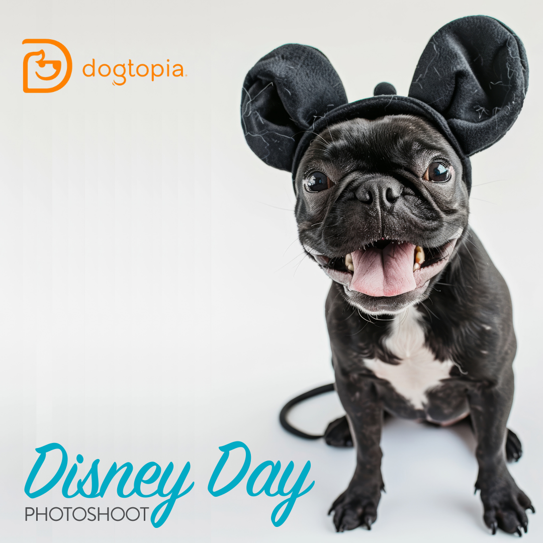 Walt Disney Photoshoot - South Lafayette
