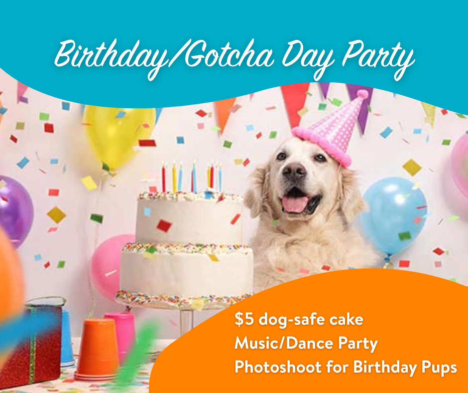 Birthday/Gotcha Day Party - South Lafayette