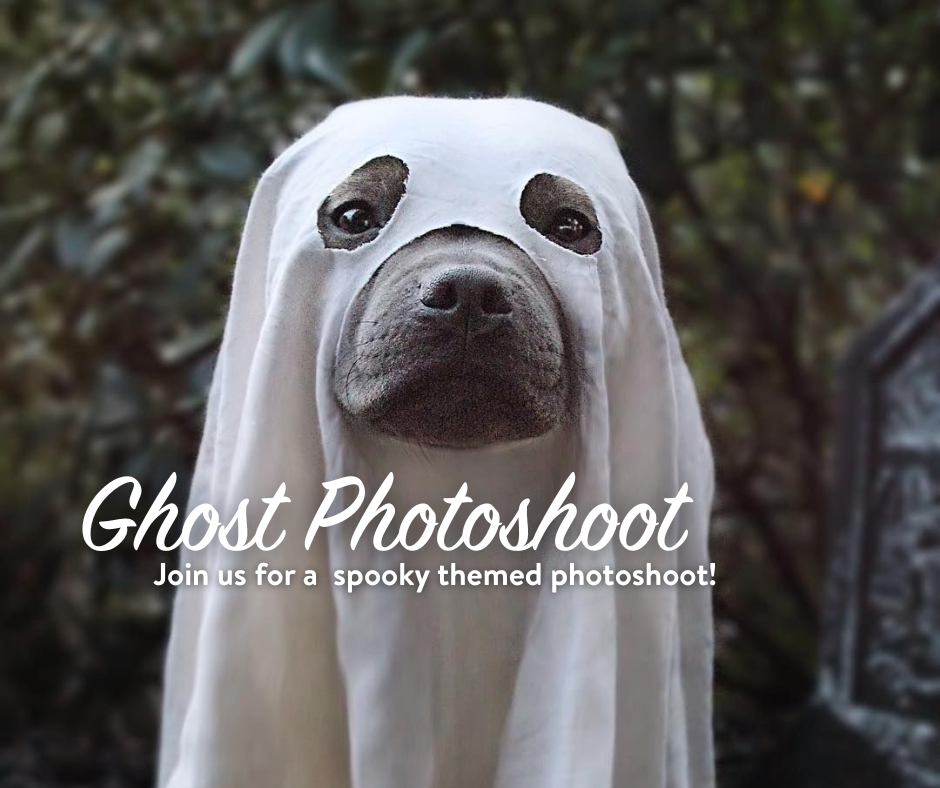 Ghost Photoshoot - South Lafayette