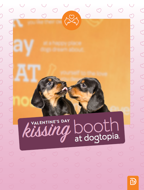 Valentine's Day Kissing Booth - Liberty Village