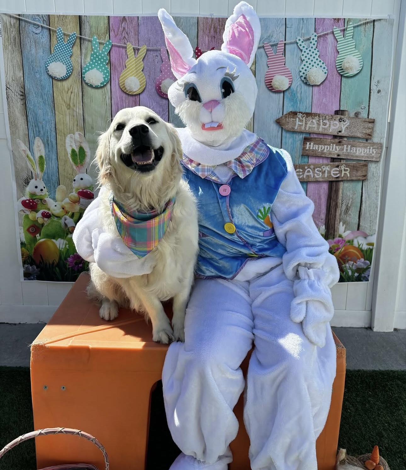 Easter Bunny Photoshoot - Fort Worth - Downtown