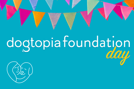 2024 Dogtopia Games/Dogtopia Foundation Day - Chester Springs