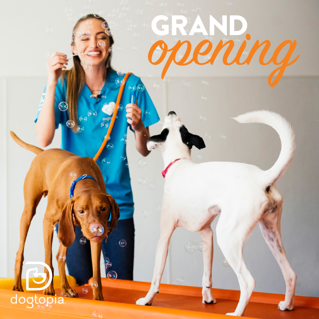 🎉 We’re Now Open! 🎉 - Sinking Spring