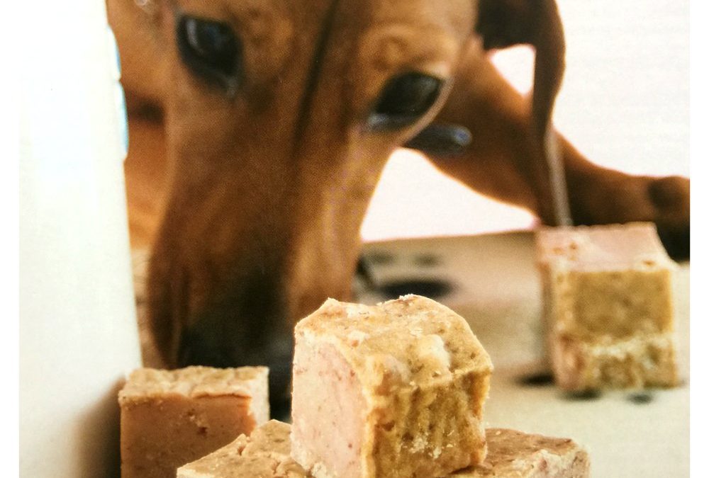 Food + Freebies Week: Fudge Day! - Manassas