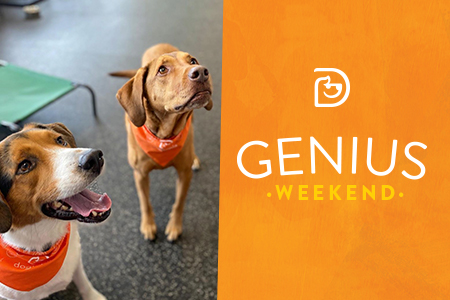 Genius Weekend! - Dulles