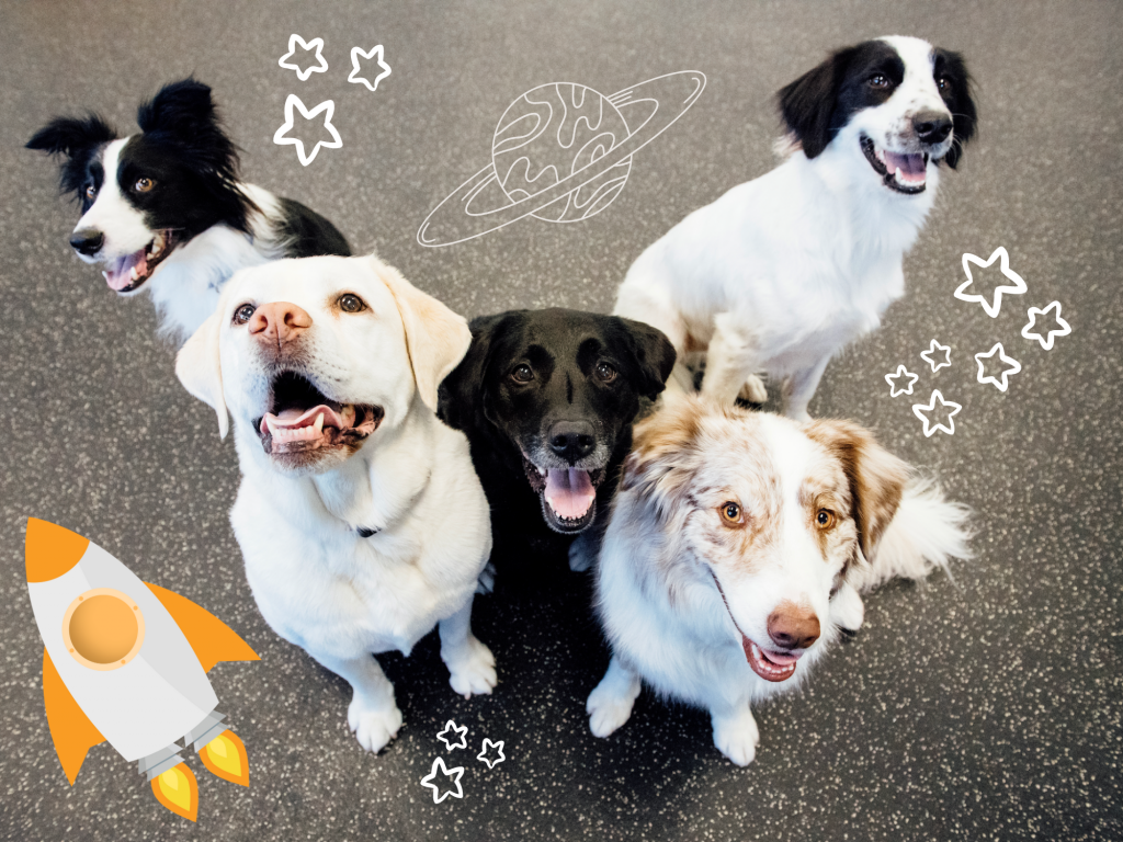 National Space Day Photos! - Woodbridge