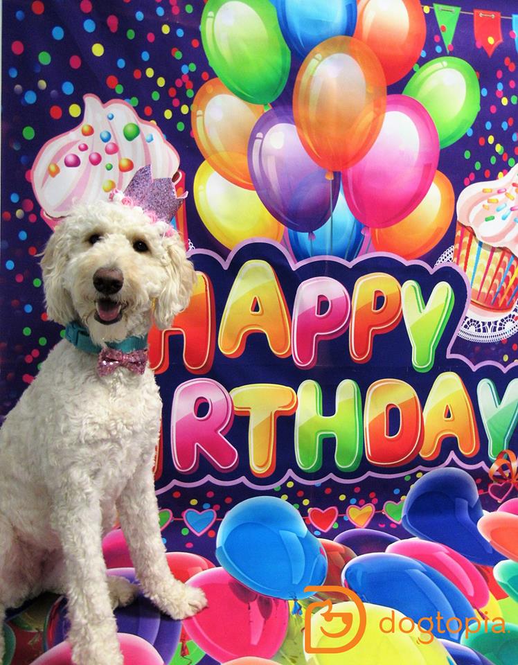 May Birthday Party! - Springfield