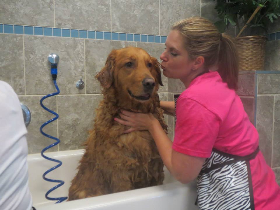 Half Priced Spa Services! - Springfield
