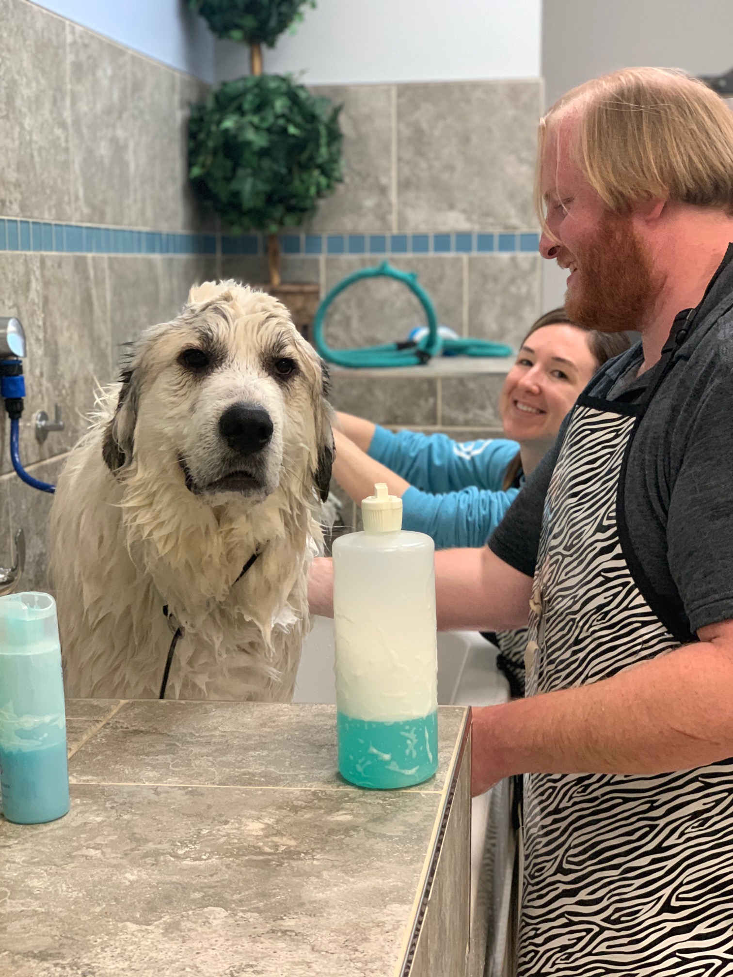 Half Price Spa Day! - Springfield