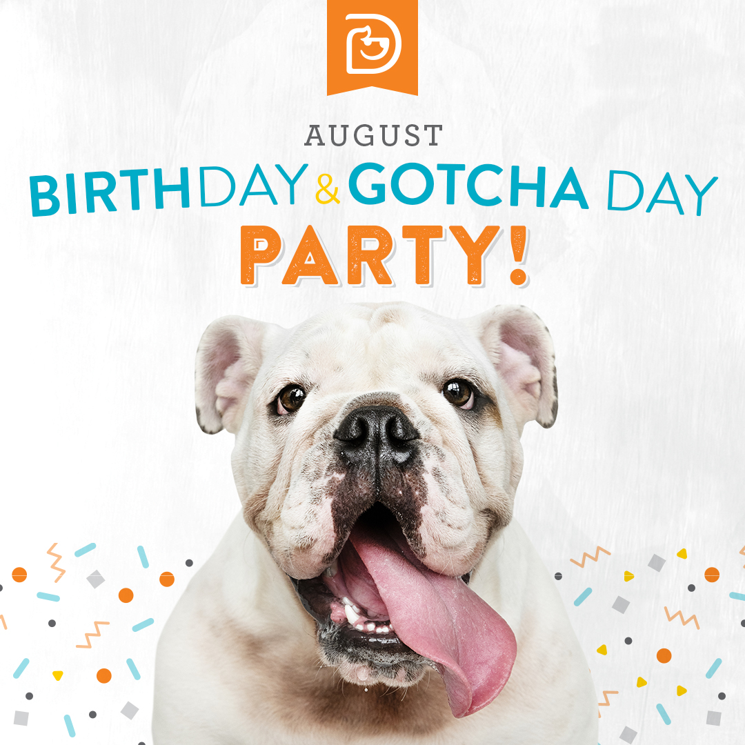 August Birthday Party! - Springfield