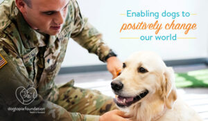 overview - Springfield