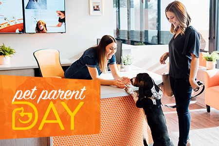 National Pet Parent Day! - Fredericksburg