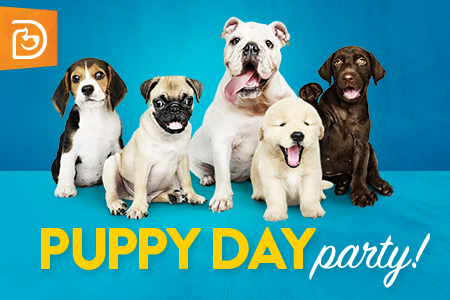 National Puppy Day Celebration! - Fredericksburg