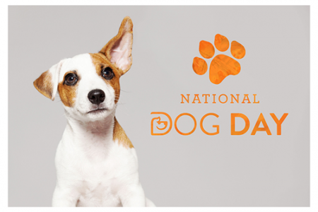 National Dog Week Celebration! - Fredericksburg
