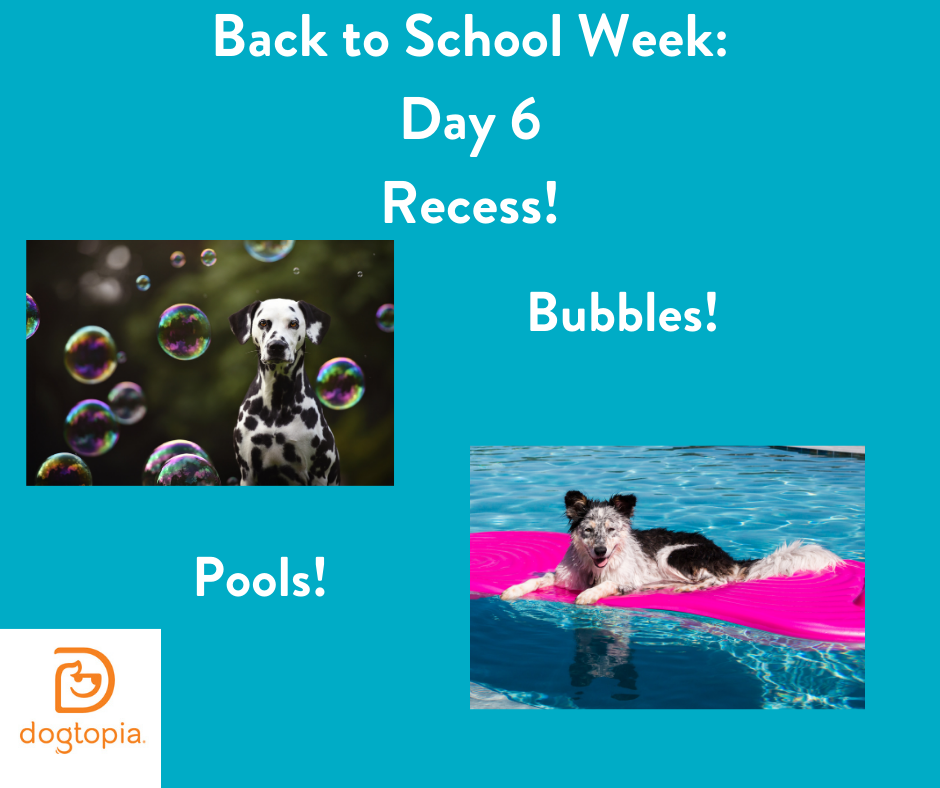 Back to School Week- Recess! - Fredericksburg