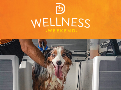 Board Your Pup for a Wellness Weekend! - Fredericksburg