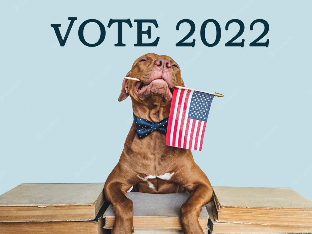 Election Day Photo Shoot!! - Fredericksburg