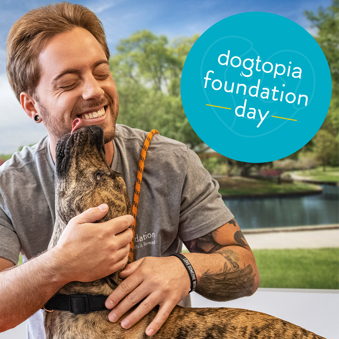 DOGTOPIA FOUNDATION DAY! - Fredericksburg