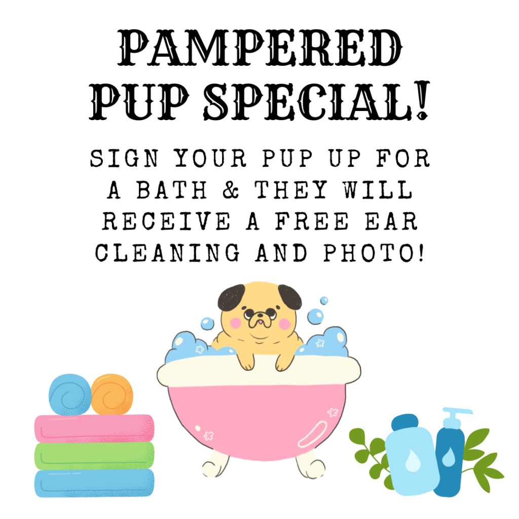 Pampered Pup Special! - Fredericksburg