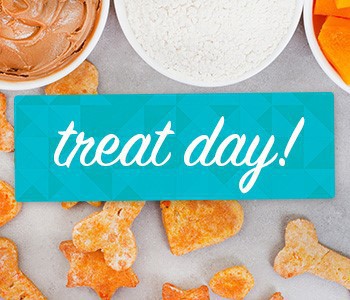 National Pet Month- Week of Treats! - Fredericksburg