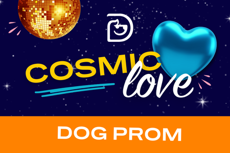 Dog Prom!! - Fredericksburg