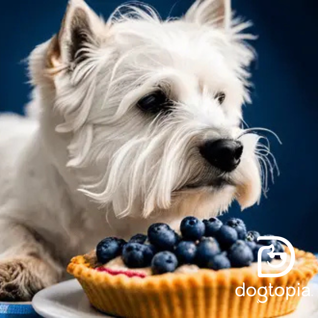 National Blueberry Pie Day!! - Fredericksburg