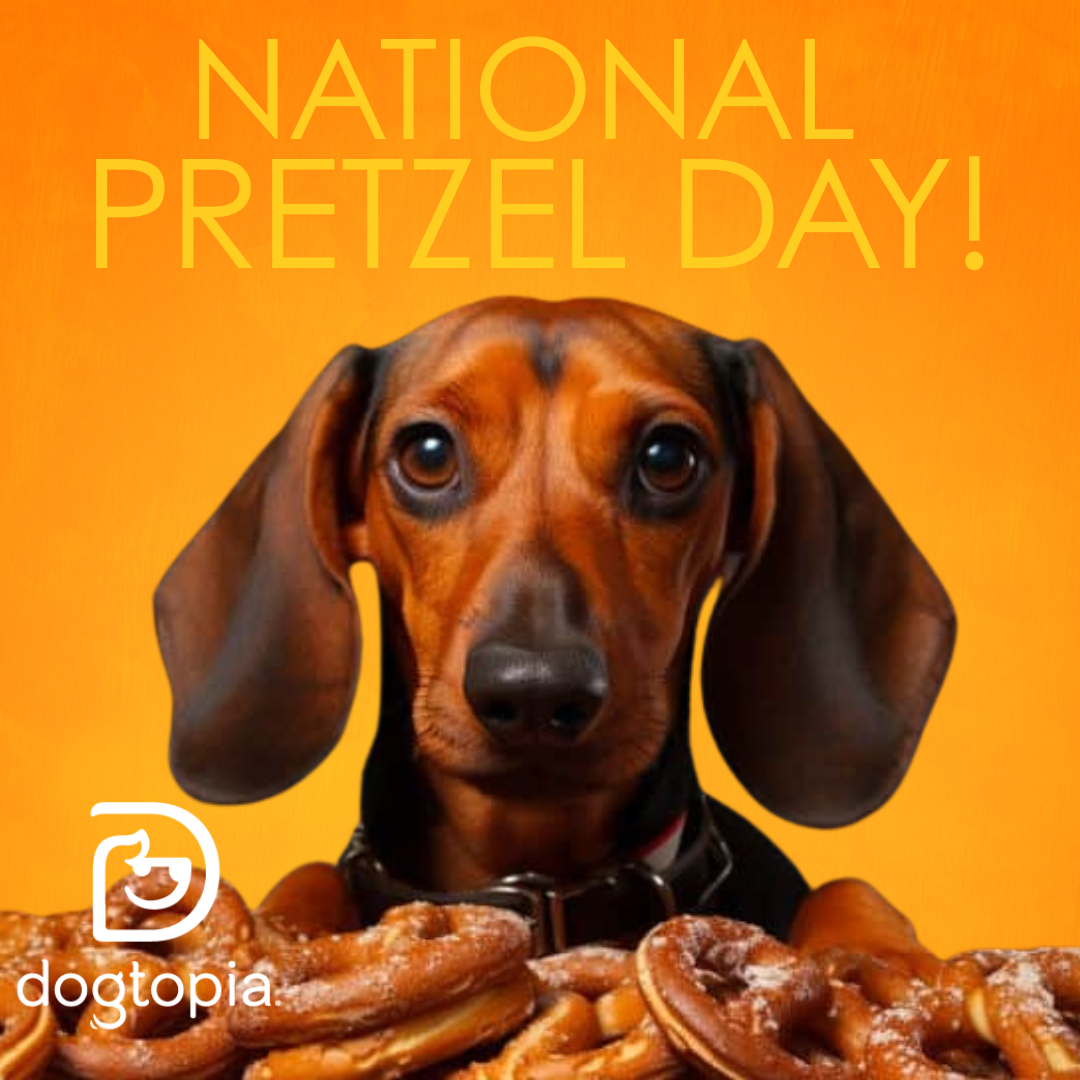 NATIONAL PRETZEL DAY!!! - Fredericksburg