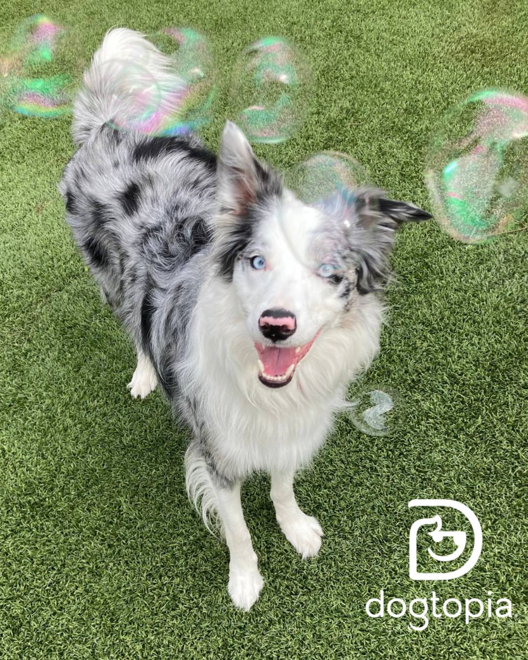 Bubble Day!! - Fredericksburg