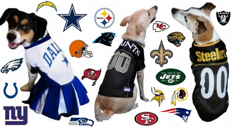 National Sports Day! - Tysons Corner
