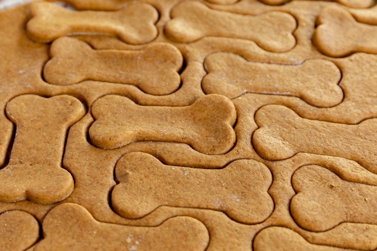National Homemade Cookies Day! - Tysons Corner