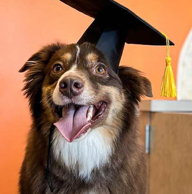 Graduation Ceremony - Tysons Corner
