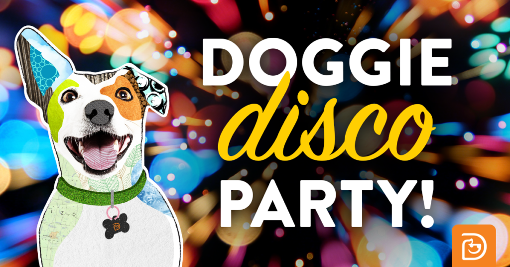 Dog Disco Day - Tysons Corner
