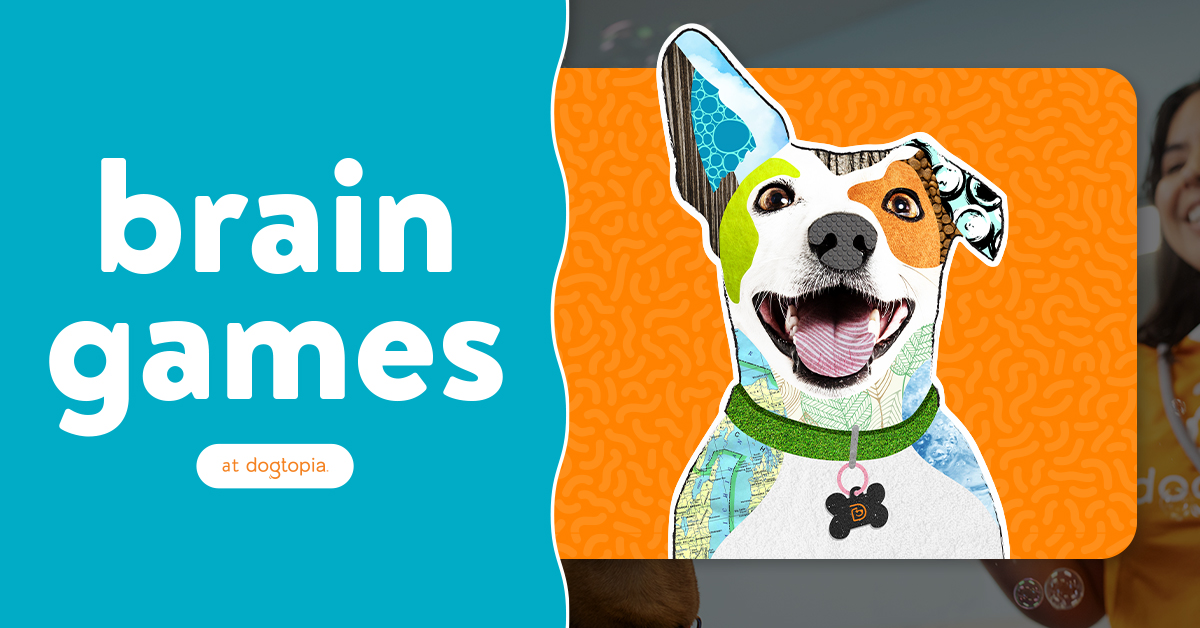 Brain Games - Tysons Corner