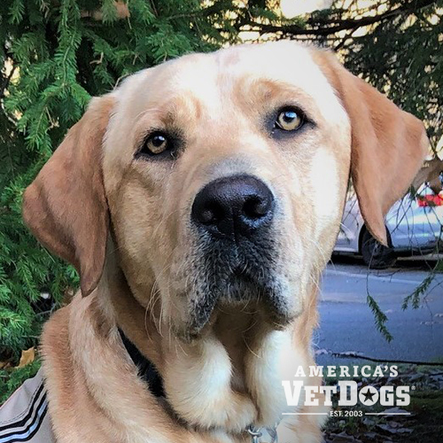 Doug - Tysons Corner