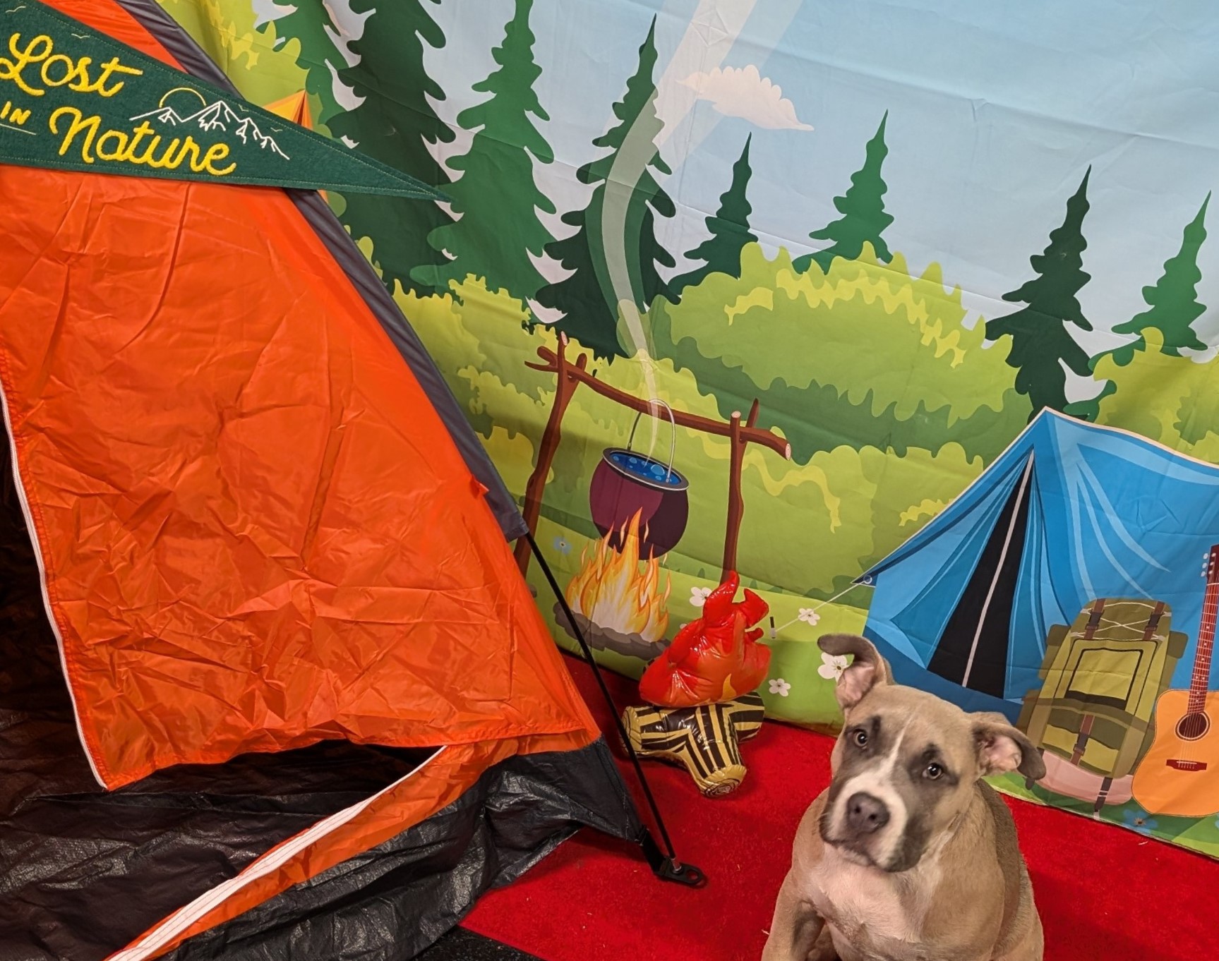 Camping Photoshoot - Tysons Corner