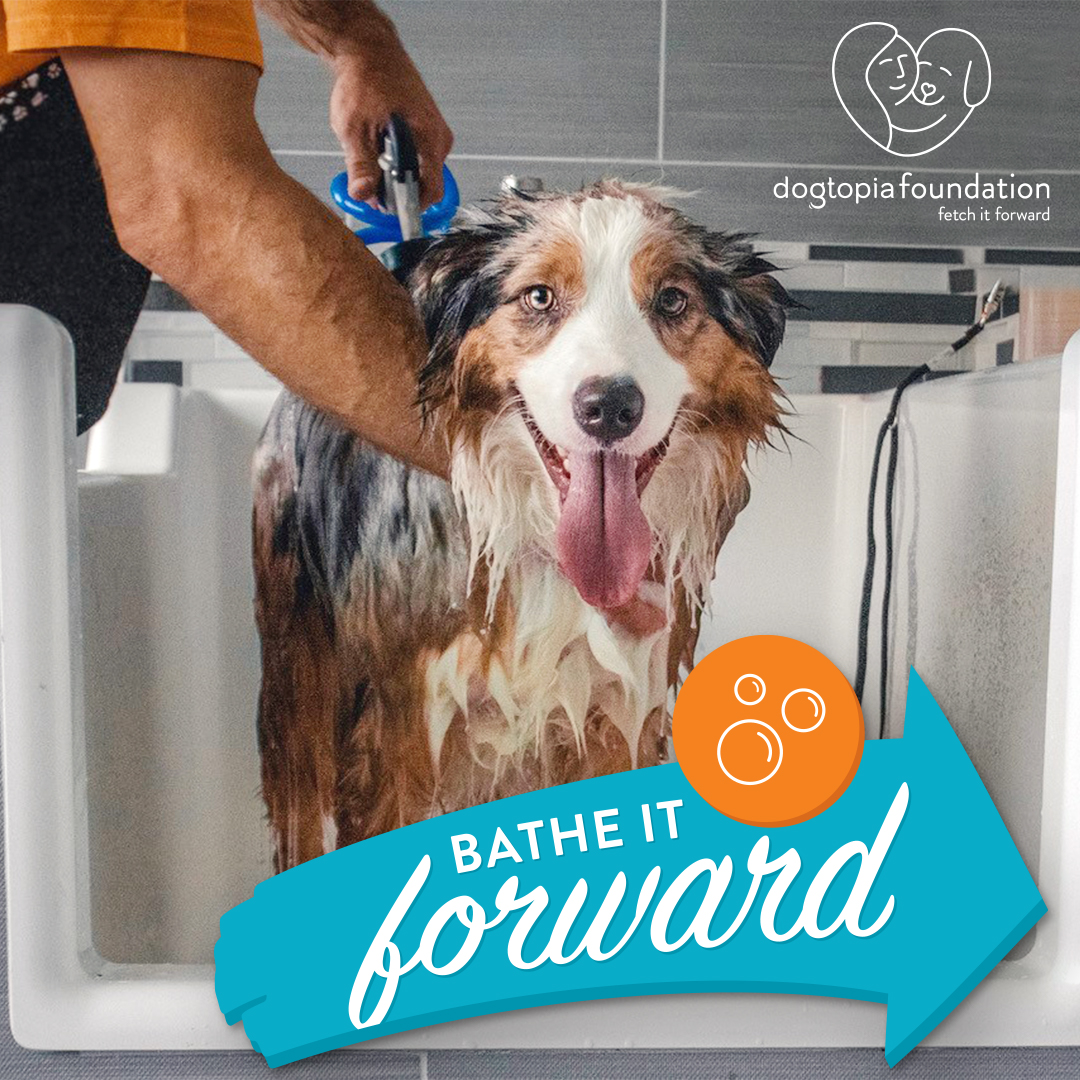 Bathe It Forward - Houston - Waugh Drive
