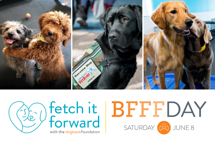 BFFF Day Celebration - Waco