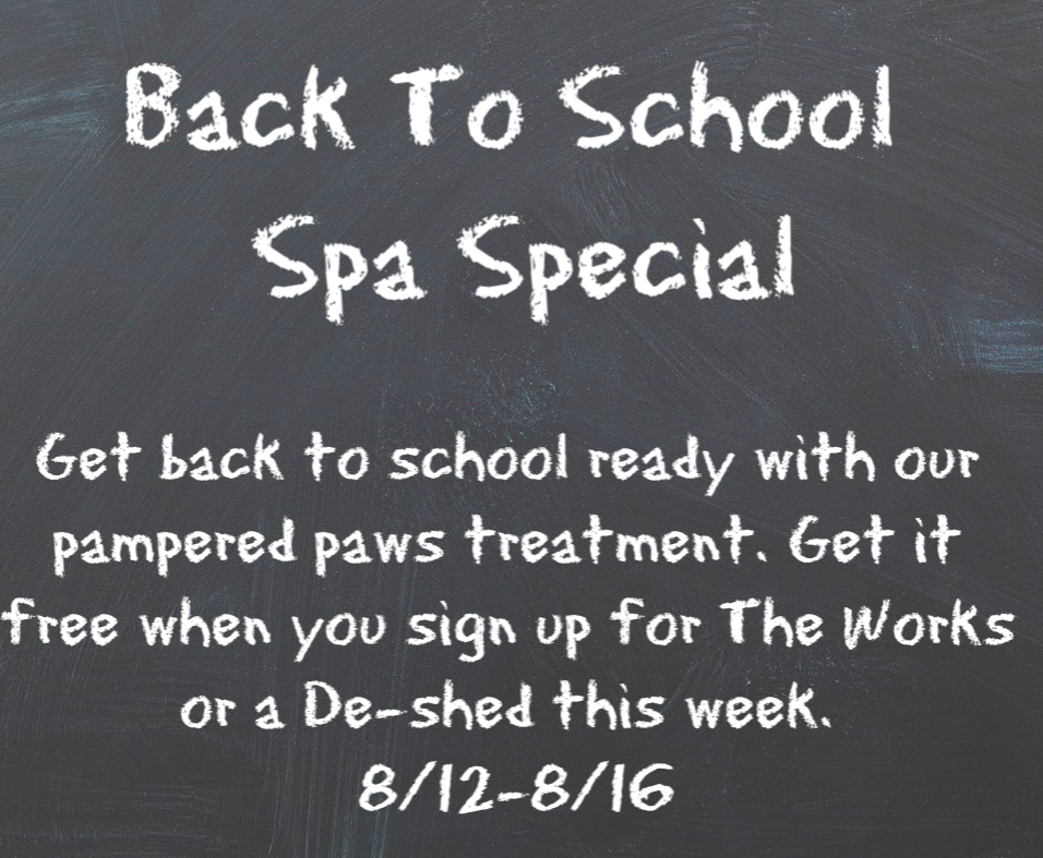 Back to school spa special - Waco