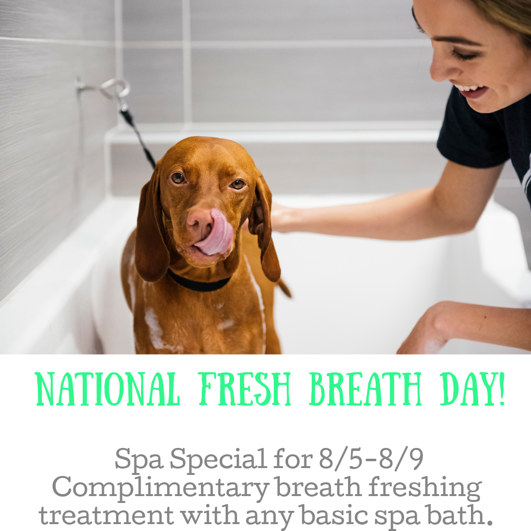 National Fresh Breath Day - Waco