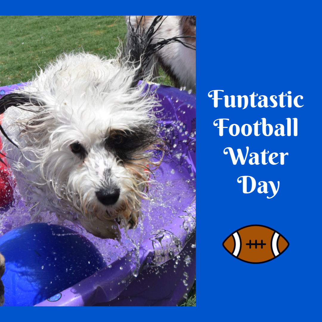 Funtastic Football Water Day - Waco