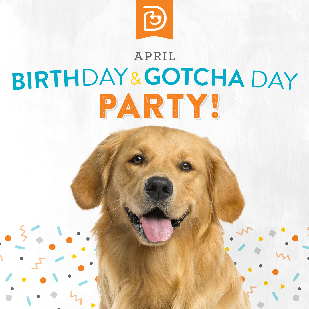 Birthday/Gotcha Day - Waco