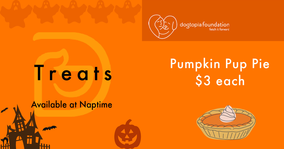 Treat Week Pumpkin Pup Pie - Waco