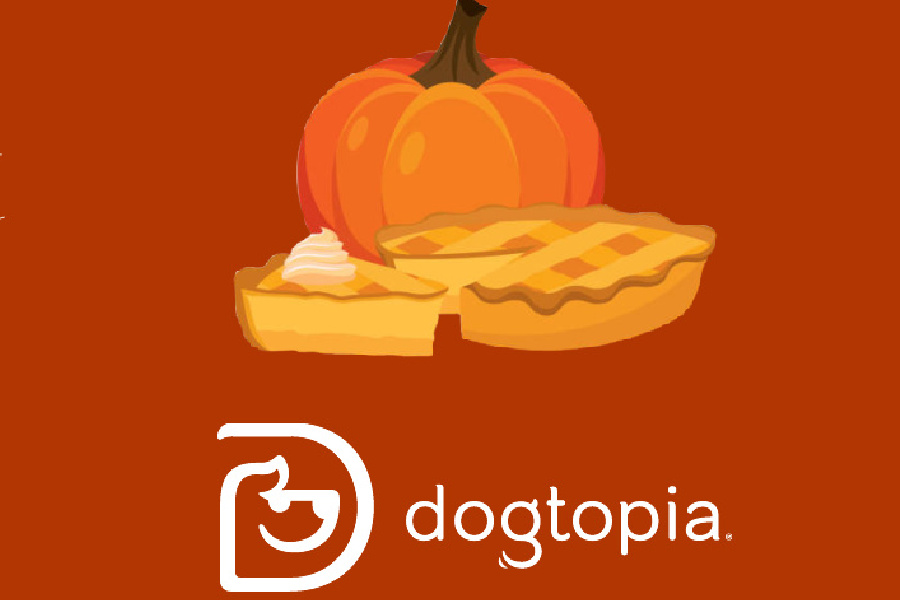 Pumpkin Pup Pie Treat Week - Waco