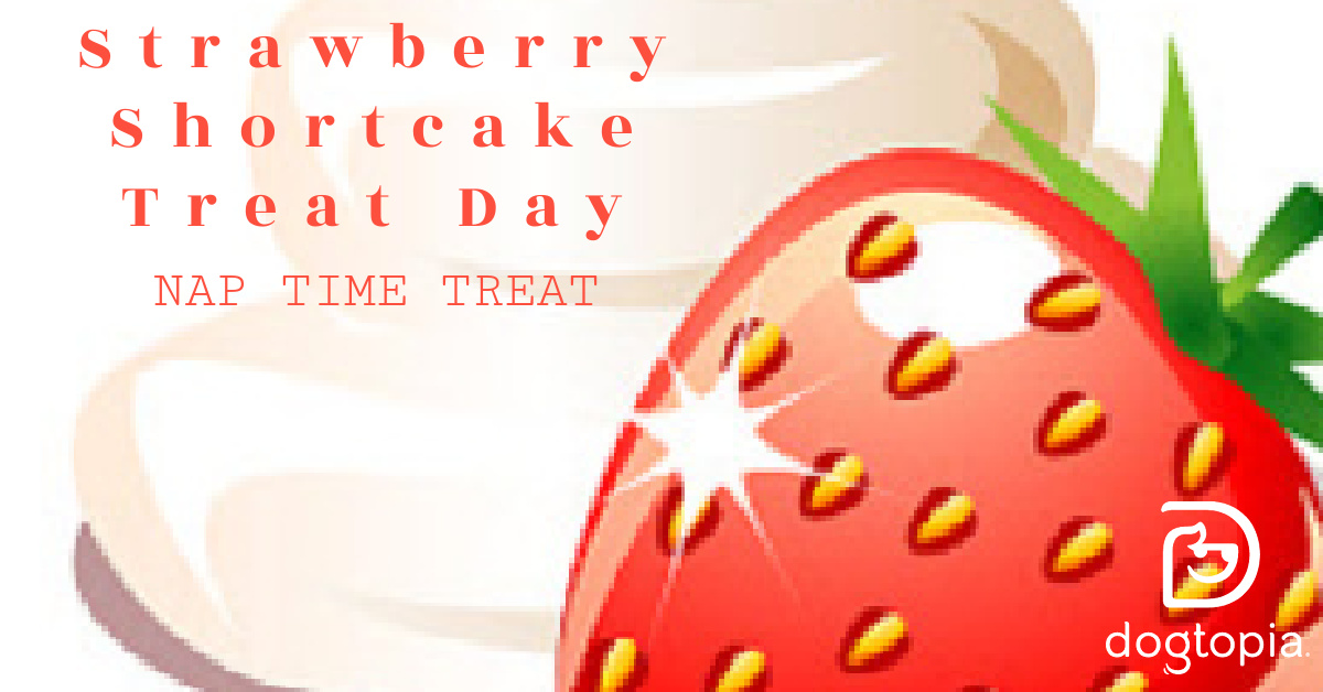 Strawberry Shortcake Treat Day - Waco