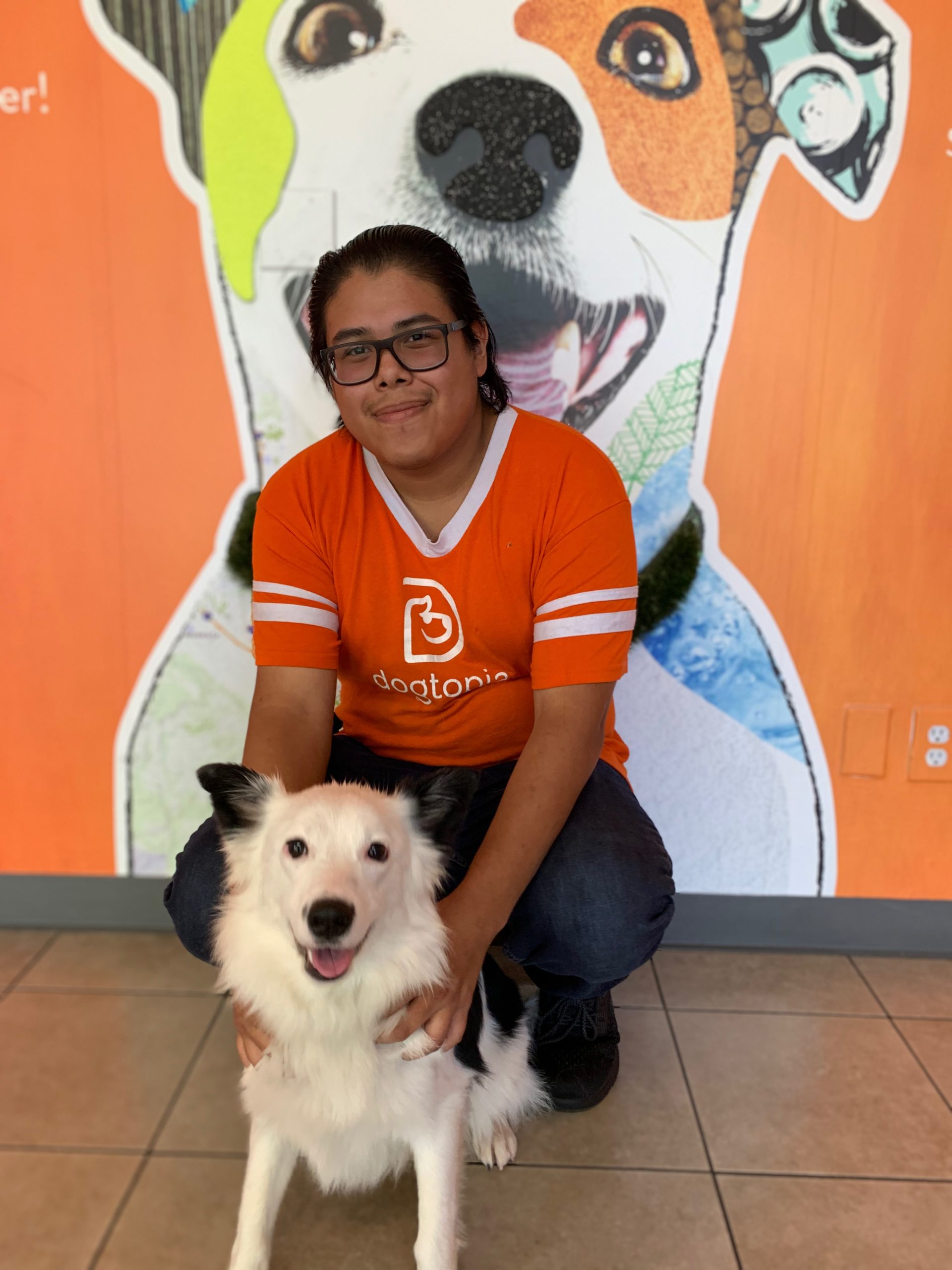 About the Team | Dogtopia Temecula
