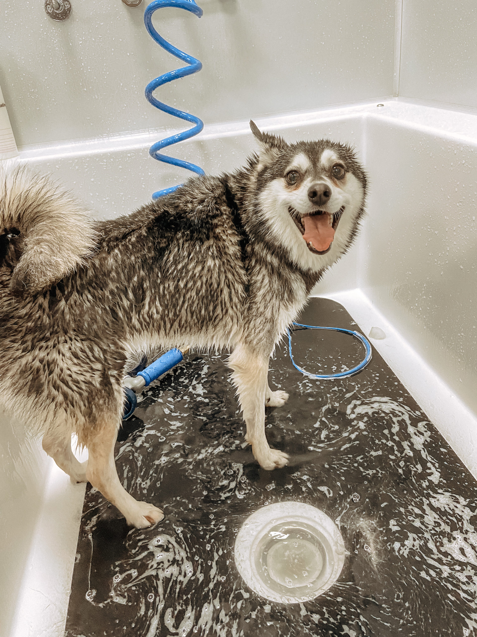 Spa Day Photo Party - Temecula