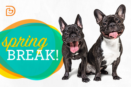 Spring Break Beach Photos and Frozen Treats - Austin