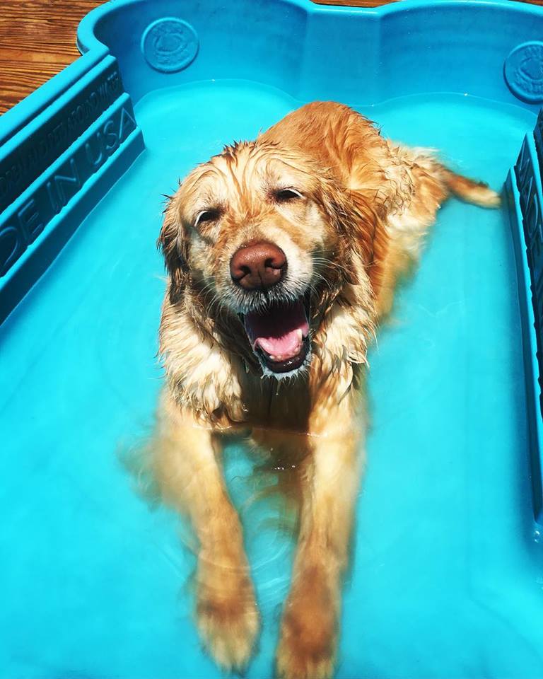 Pool Party! - Austin