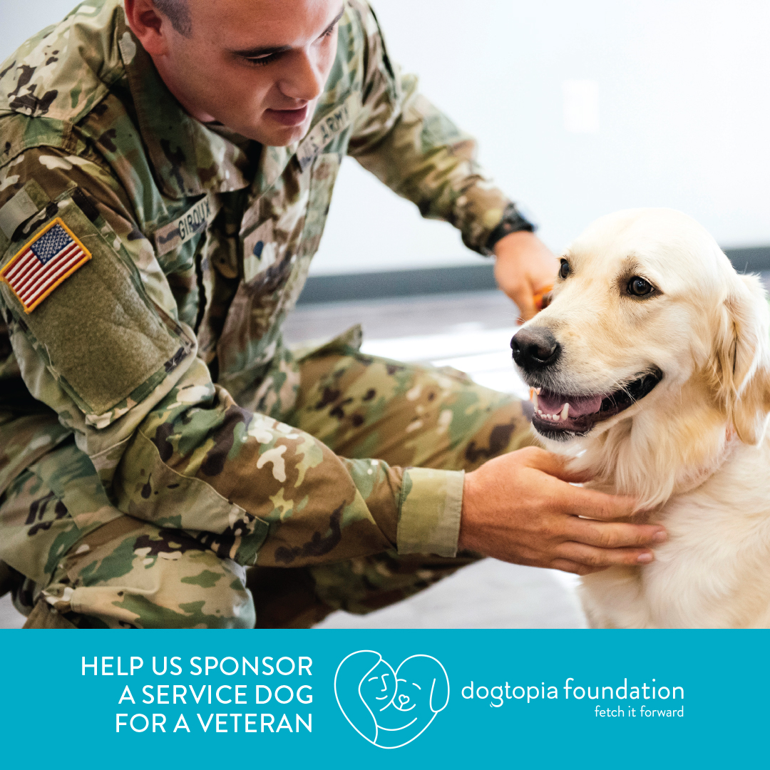 September is Service Dog Month - Austin