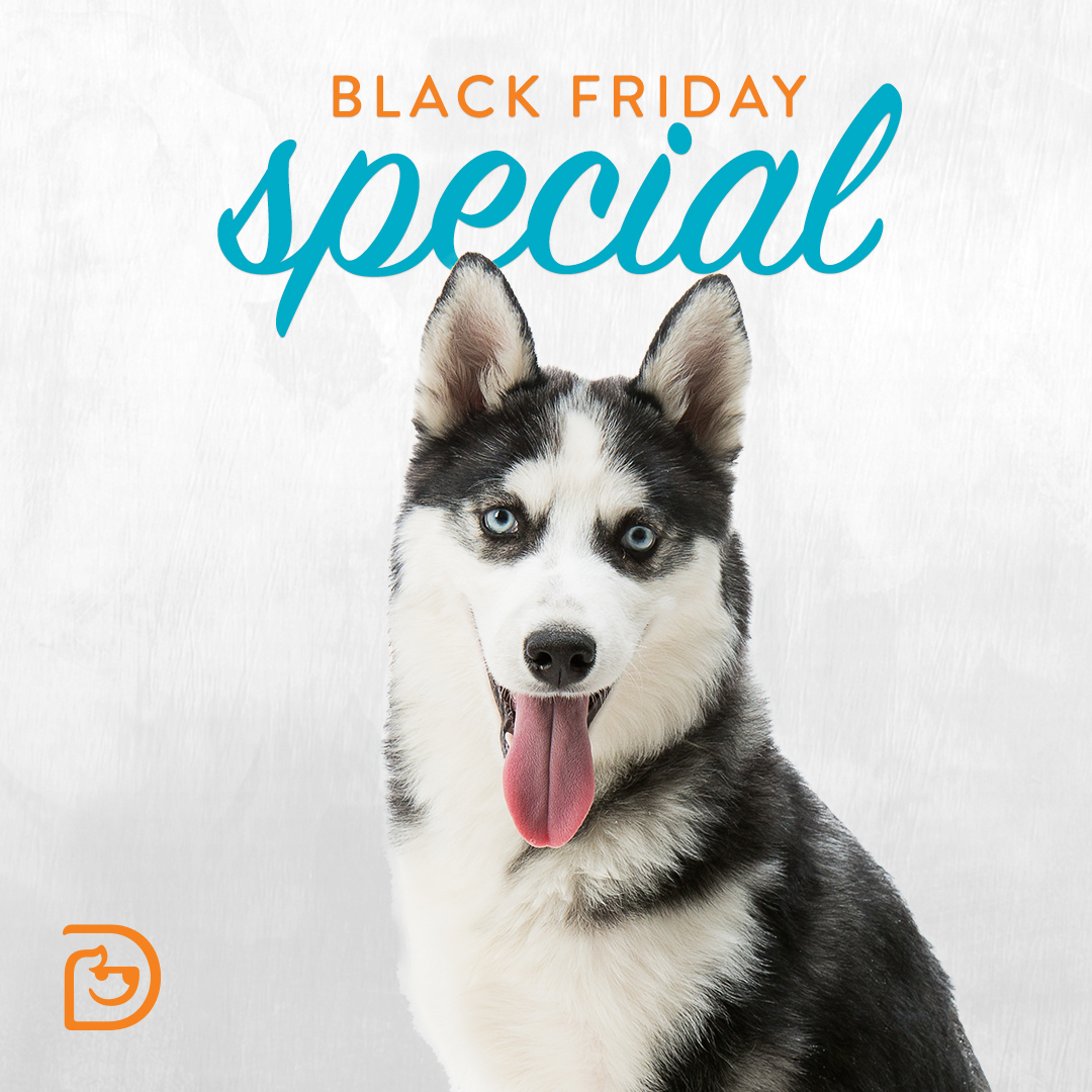 Black Friday Pass Special - Austin